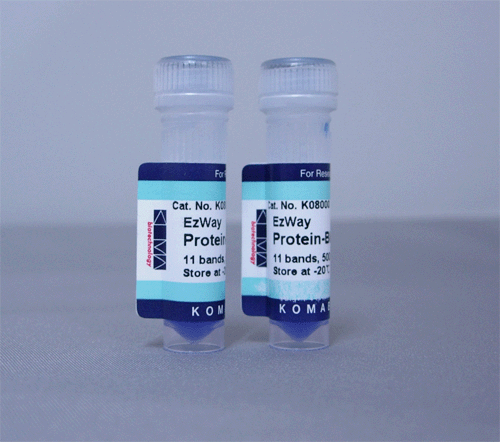 DNA Loading Buffer (10X) / 2ml – BGENZ Official Website